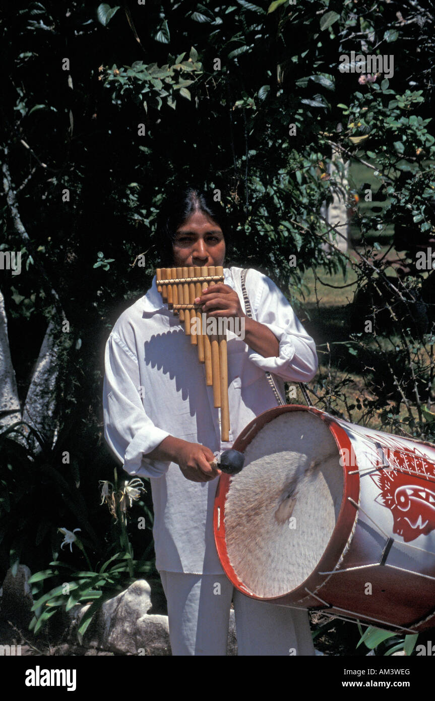Ecuadorean folk musician playing traditional hi-res stock photography ...
