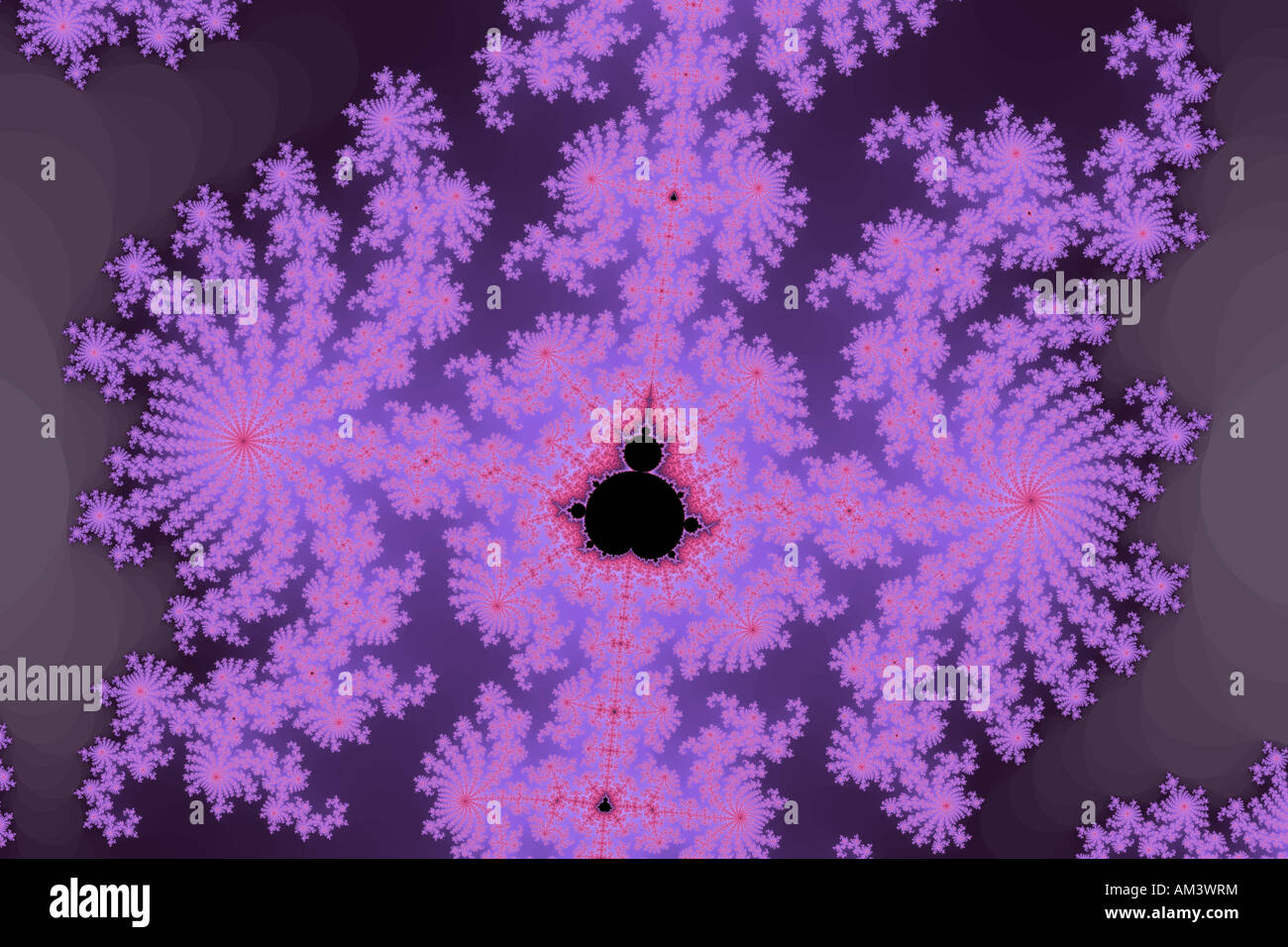 Purple mandelbrot fractal hi-res stock photography and images - Alamy
