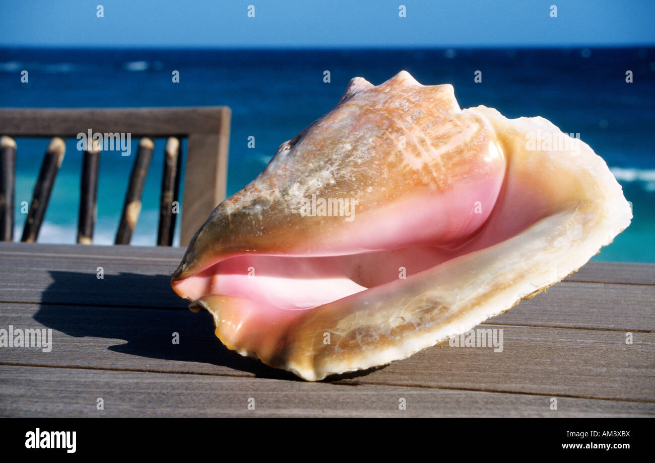 Bahamas, Paradise Island, One&Only Ocean Club, 5 star hotel, lambi ...