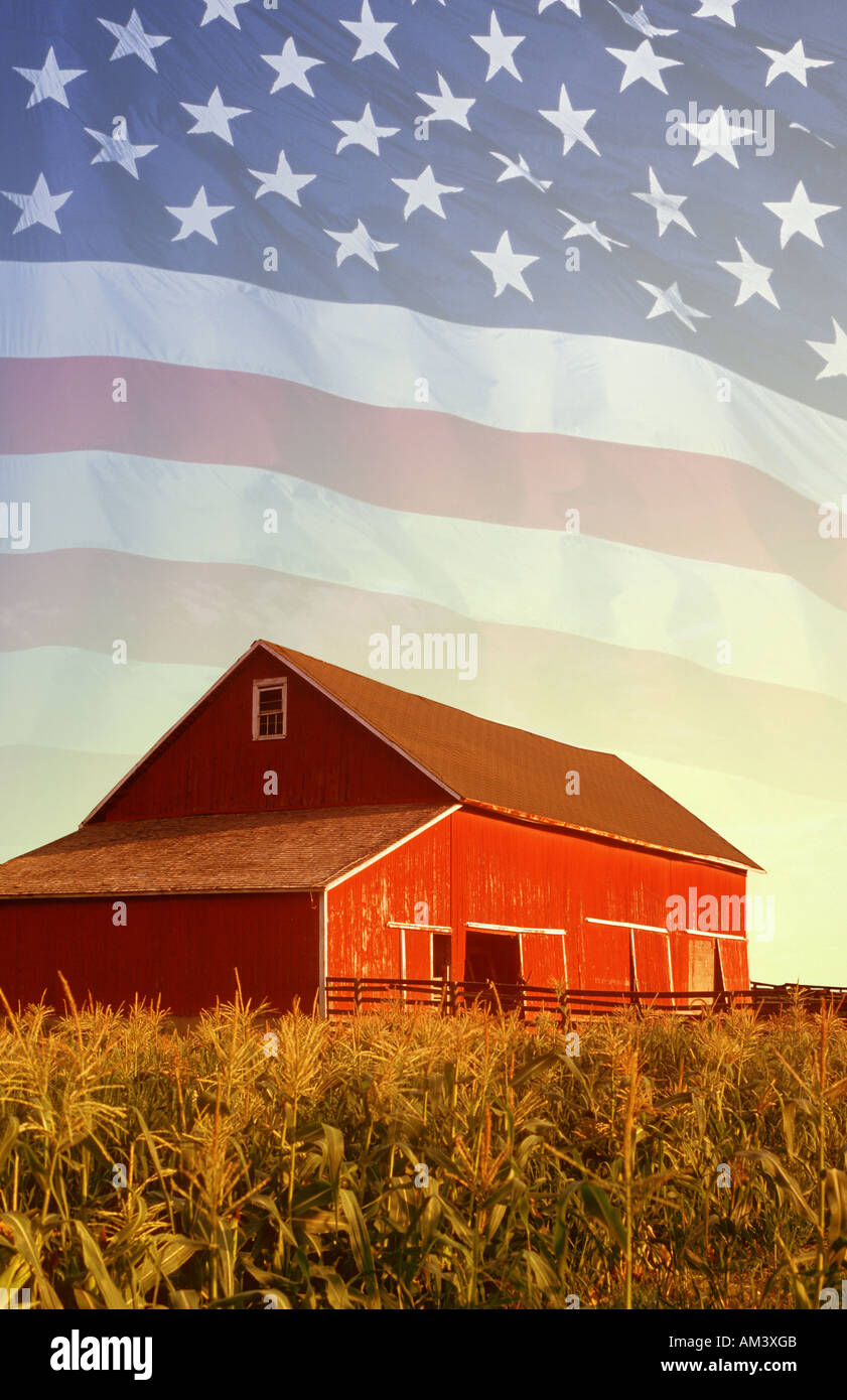 American Flag Farm
