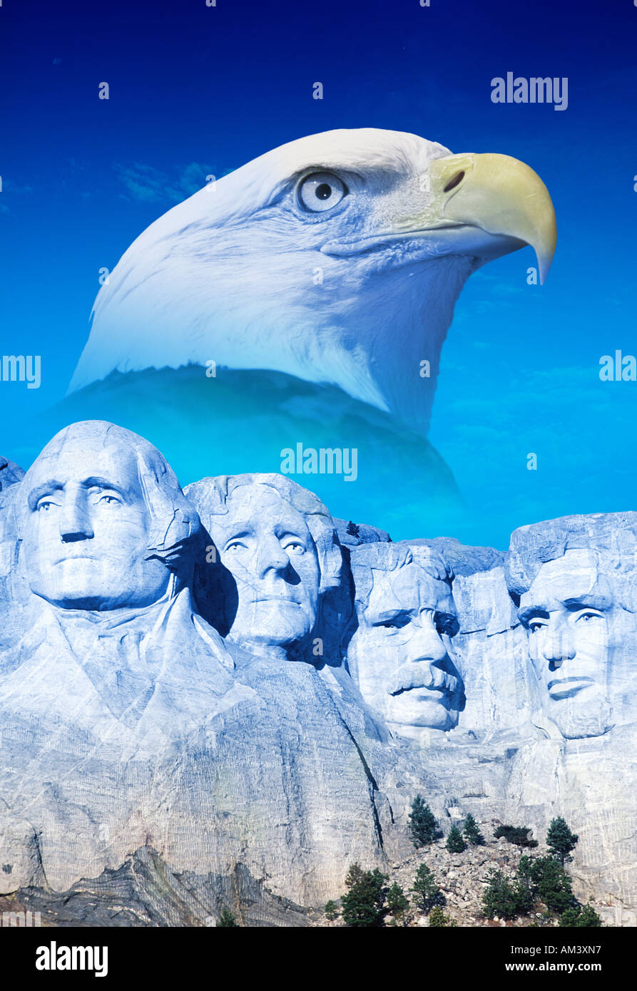 American eagle behind Mount Rushmore Stock Photo - Alamy