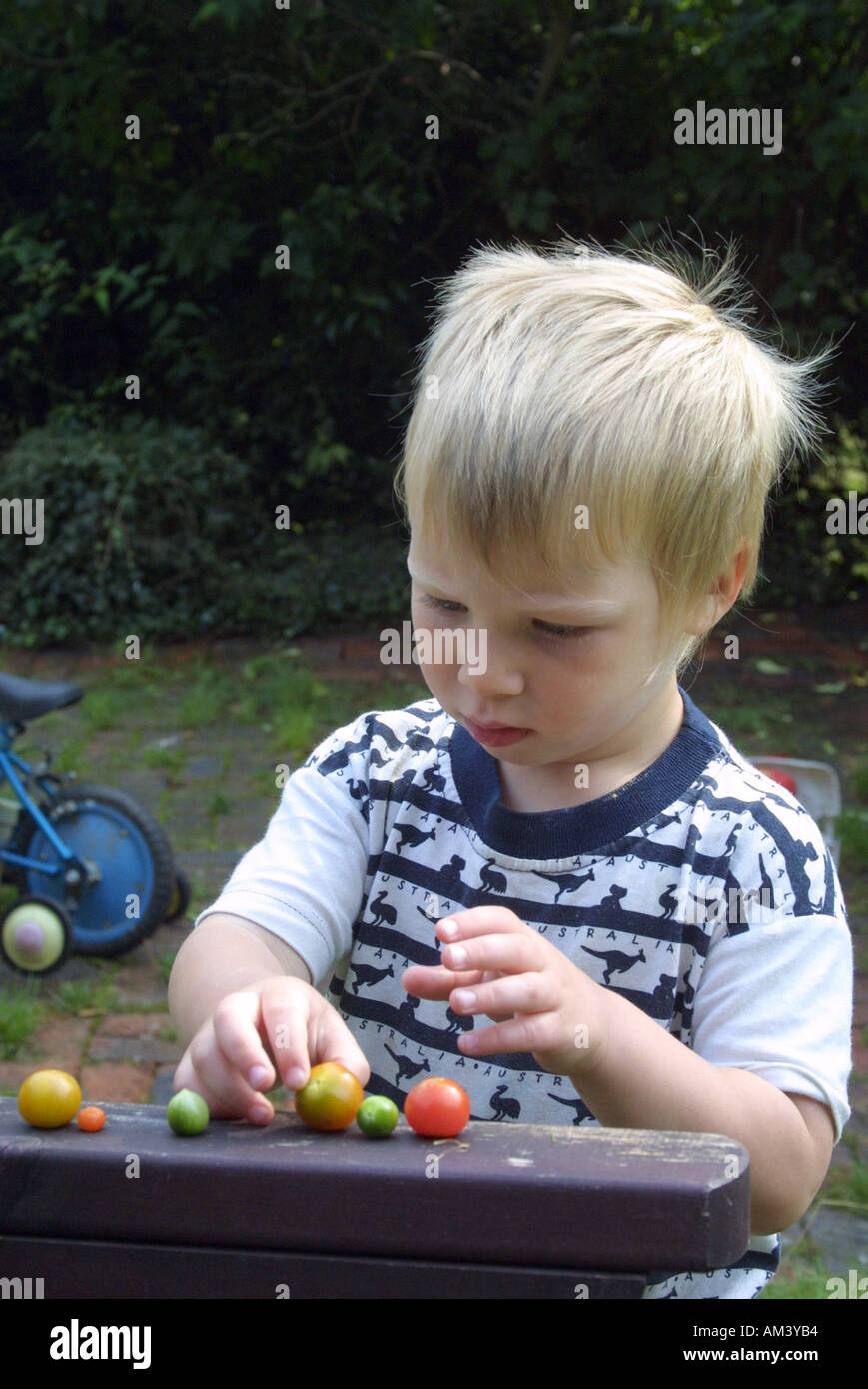 Counting tomatoes hi-res stock photography and images - Alamy