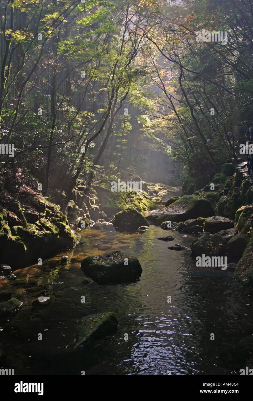 Sun shining through japan hi-res stock photography and images - Alamy