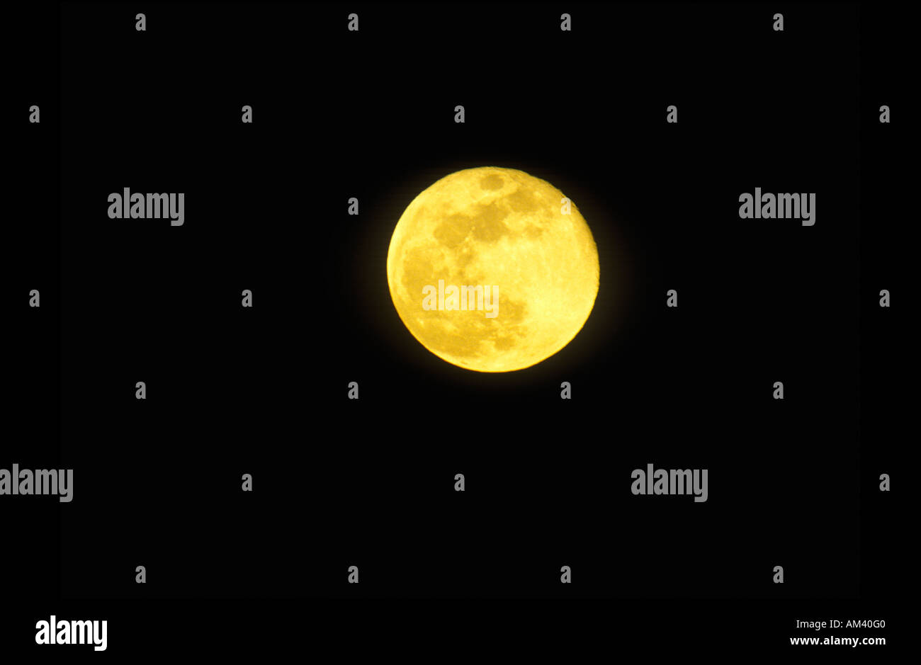 A full moon Stock Photo - Alamy