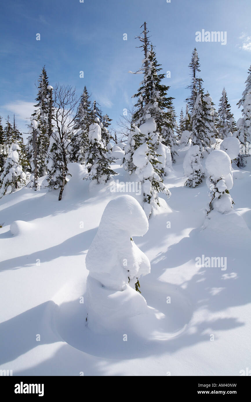 Canada, Quebec Province, Saguenay Region, Parc National des Monts Valin ...