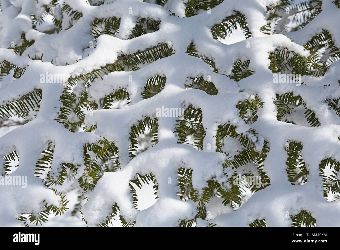 Monts valin national park hi-res stock photography and images - Alamy
