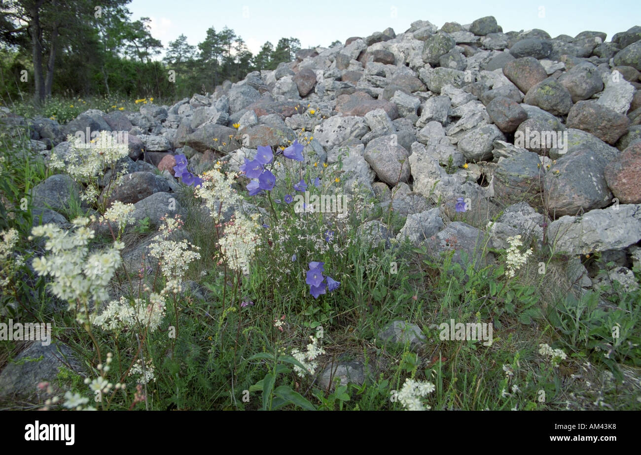 Viking stone gotland hi-res stock photography and images - Alamy