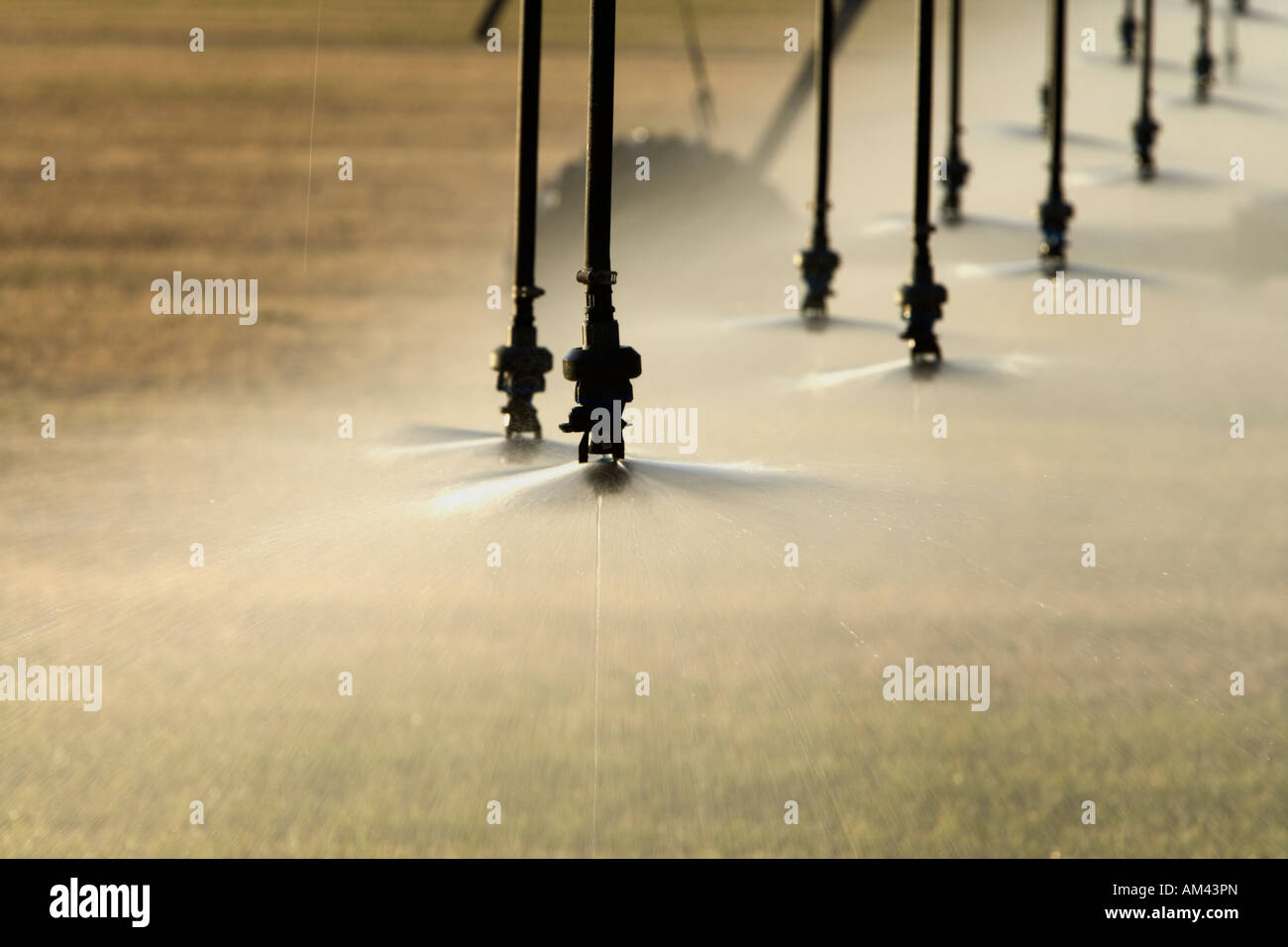 Sprinkler heads irrigating Stock Photo - Alamy