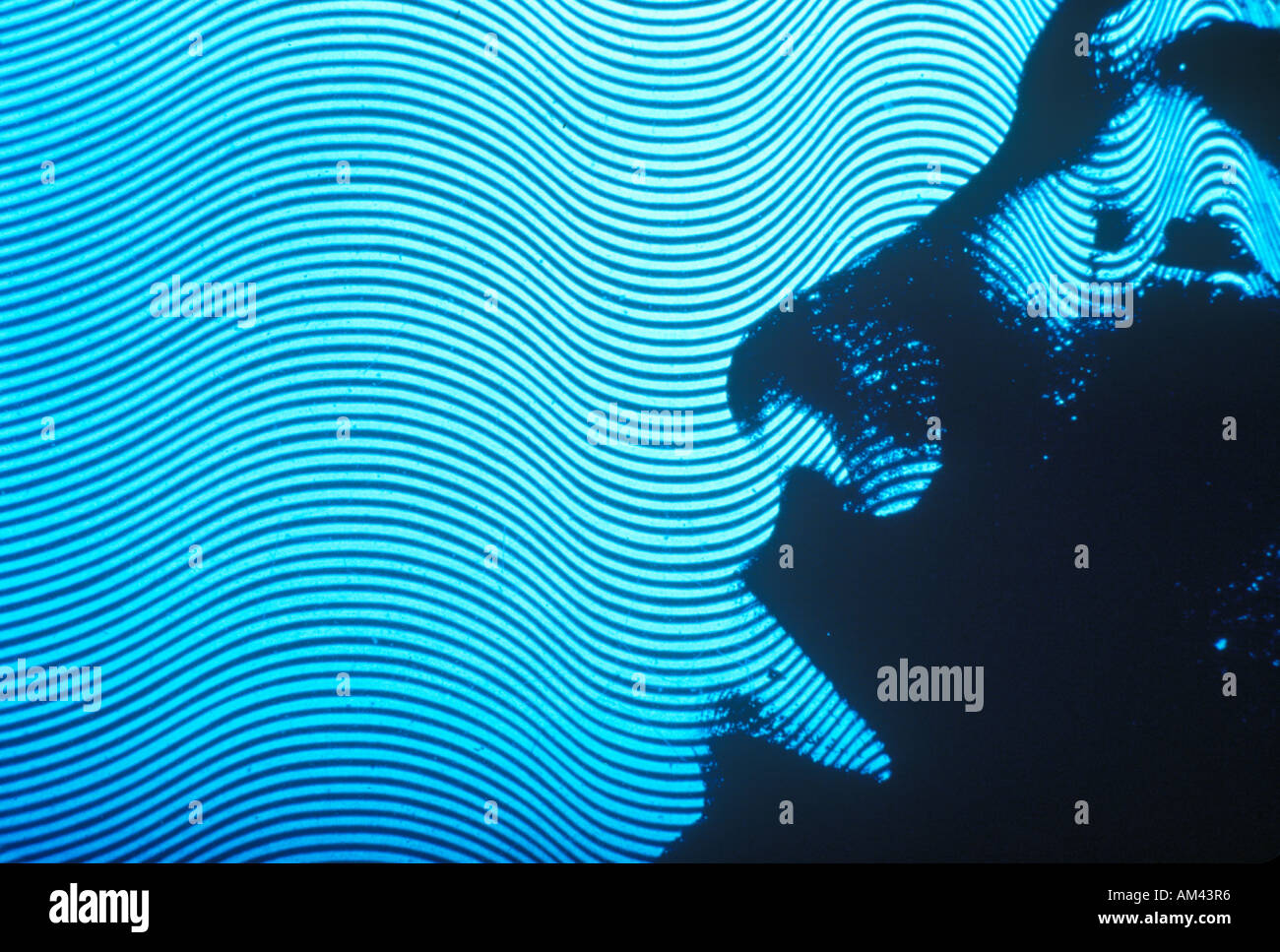 Special effects composite of face silhouette against blue waveform ...