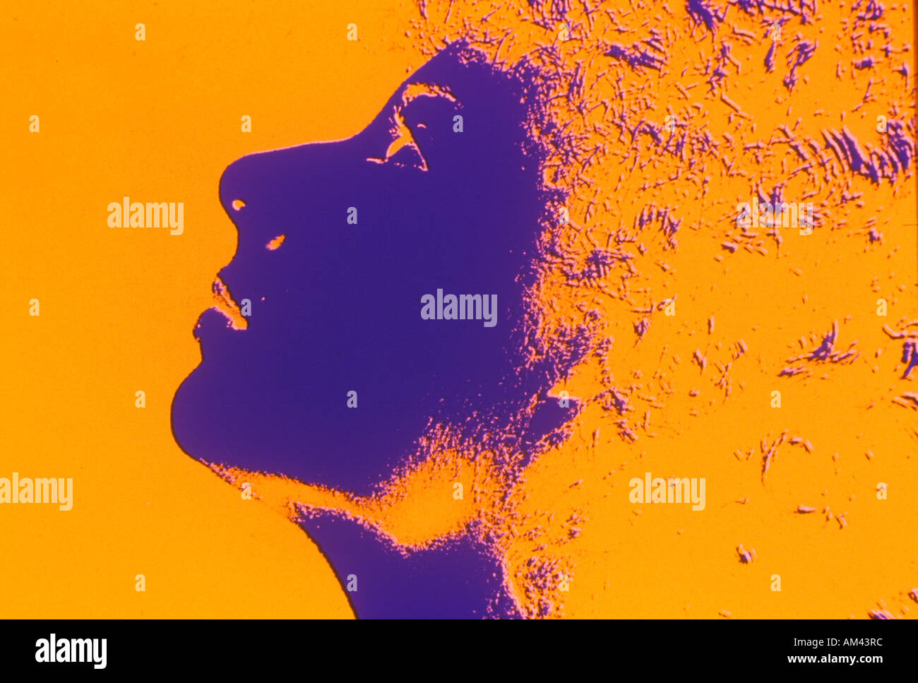 Special effects composite of face silhouette posterized in orange and ...