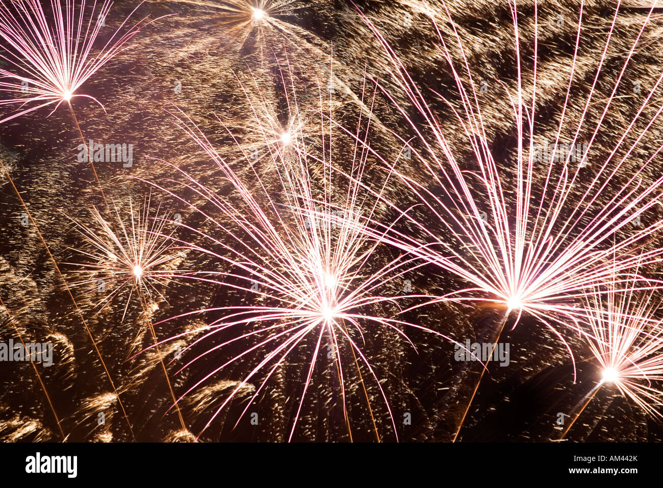 November festivities hi-res stock photography and images - Alamy