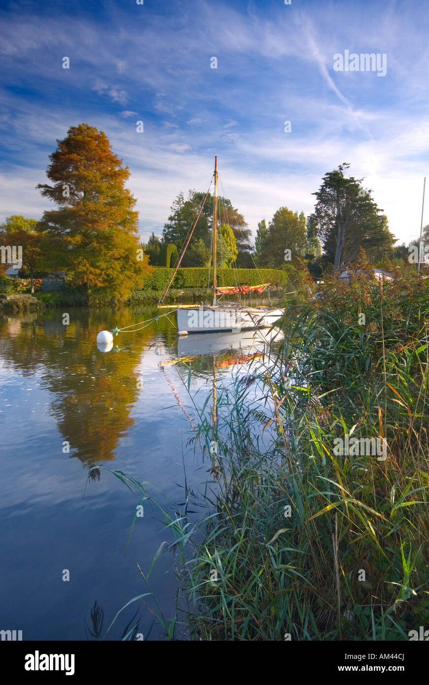 River Frome at dawn, Wareham, Dorset, England, UK Stock Photo - Alamy