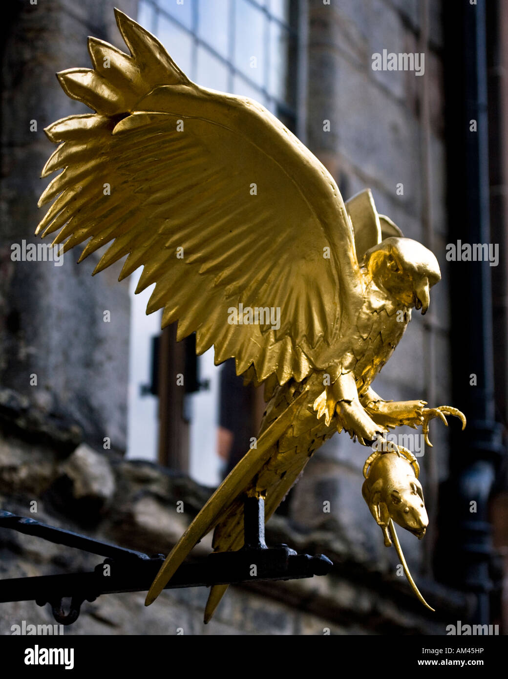 This golden hawk and rat sculpture sits on top of a street signpost in ...