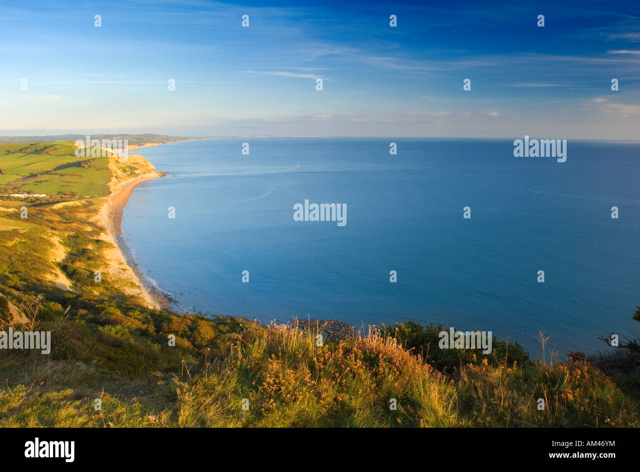 From golden cap hi-res stock photography and images - Alamy
