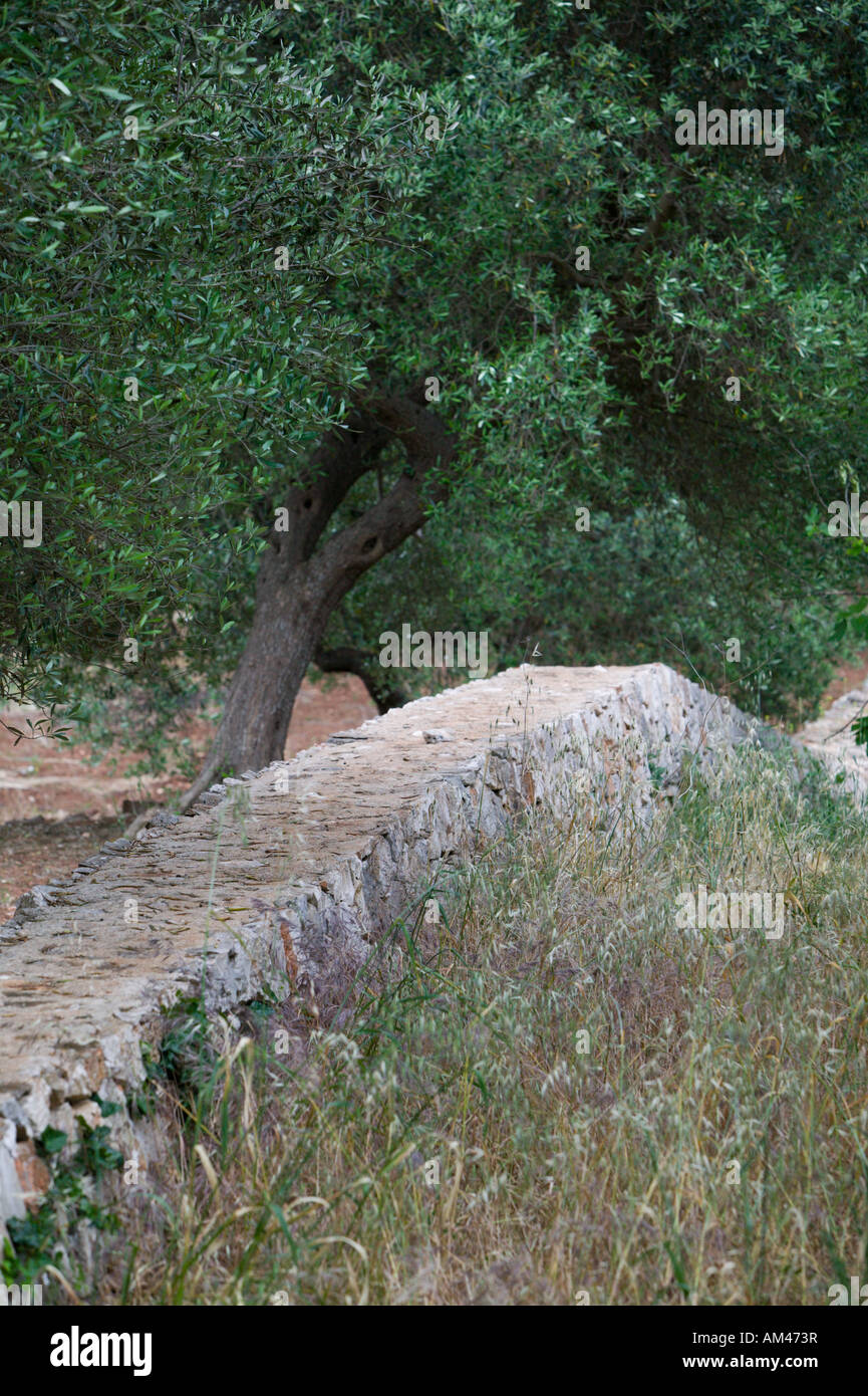 Italy, Puglia, Cisternino, Stone Wall Stock Photo - Alamy