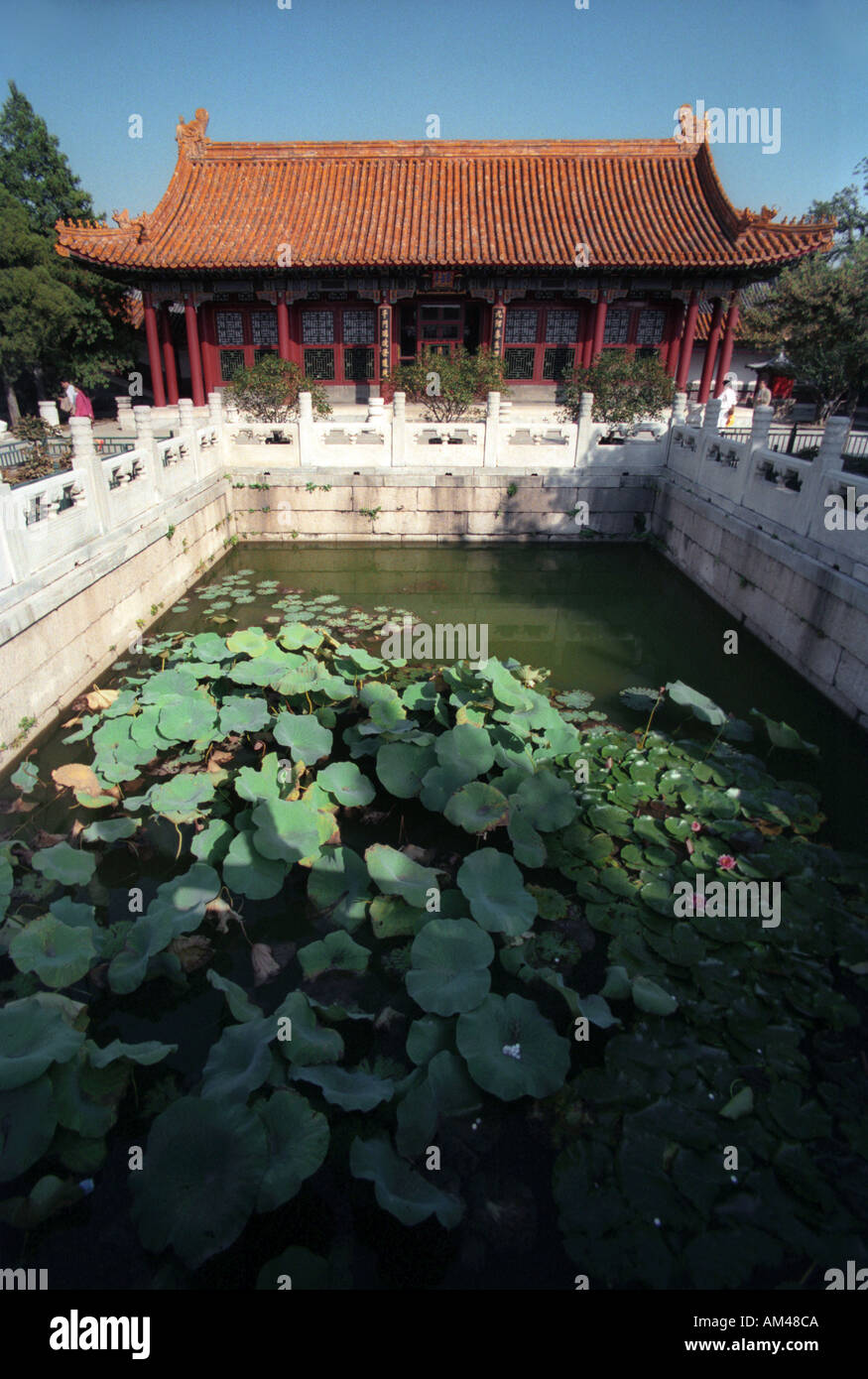 Floating plants in a sacred pool in front of anciente temple in Beijing ...