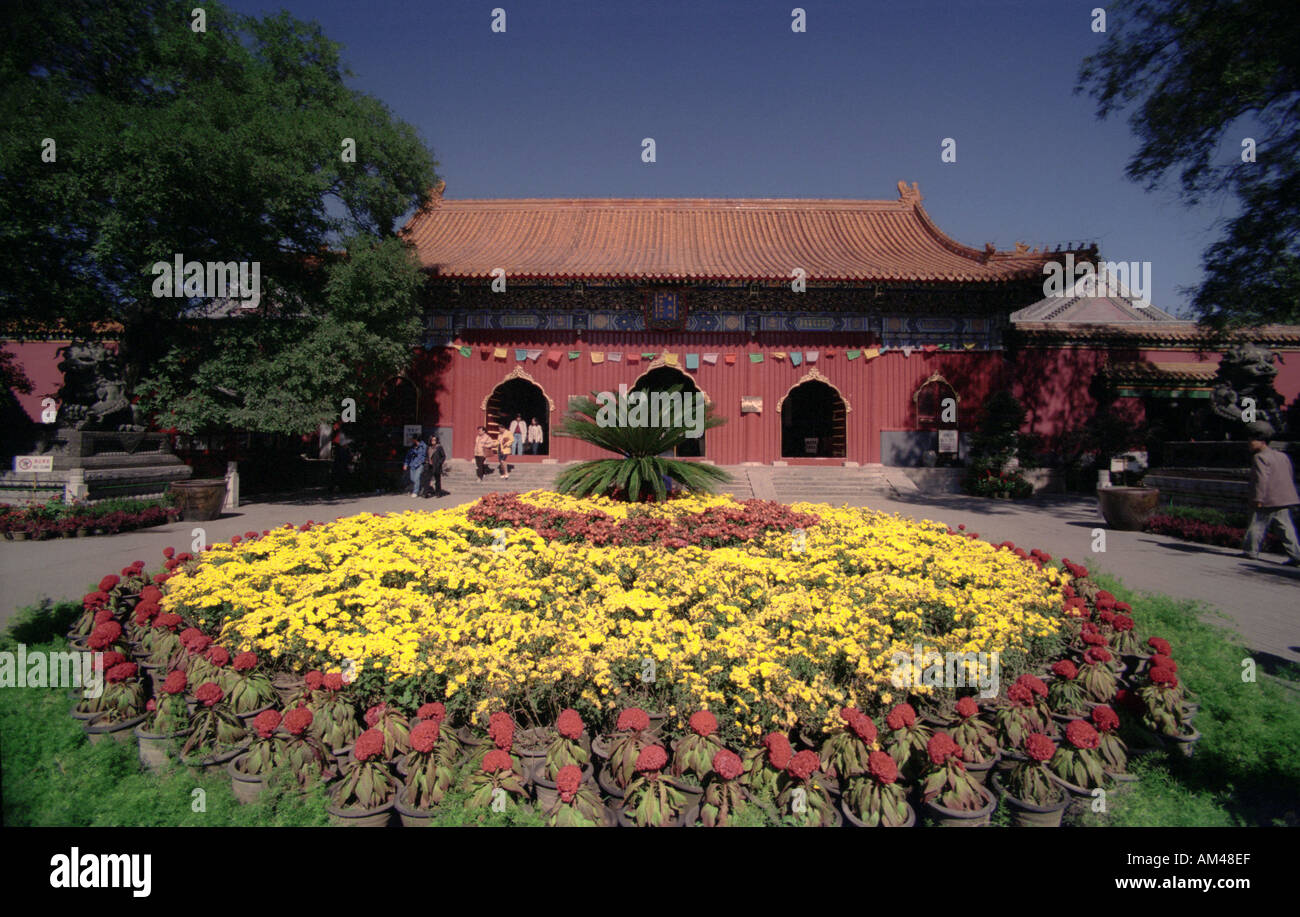 Colourful flower arrangement in front of an ancient temple in Beijing ...