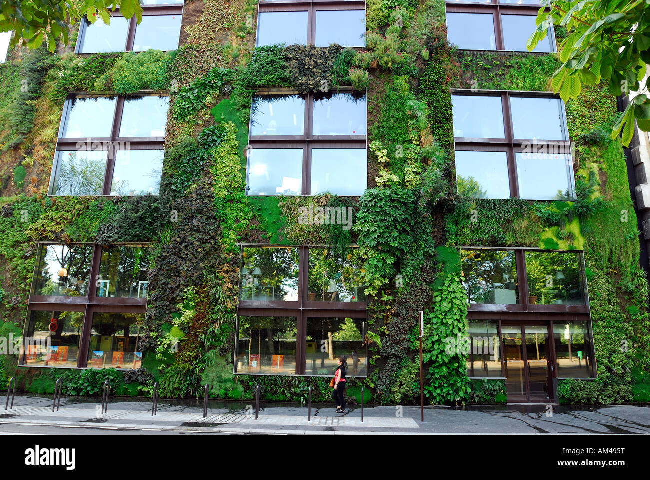 France, Paris, Quai Branly Museum, plant wall realized by Patrick Blanc ...