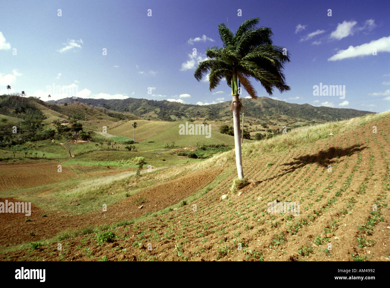 Manicaragua hi-res stock photography and images - Alamy