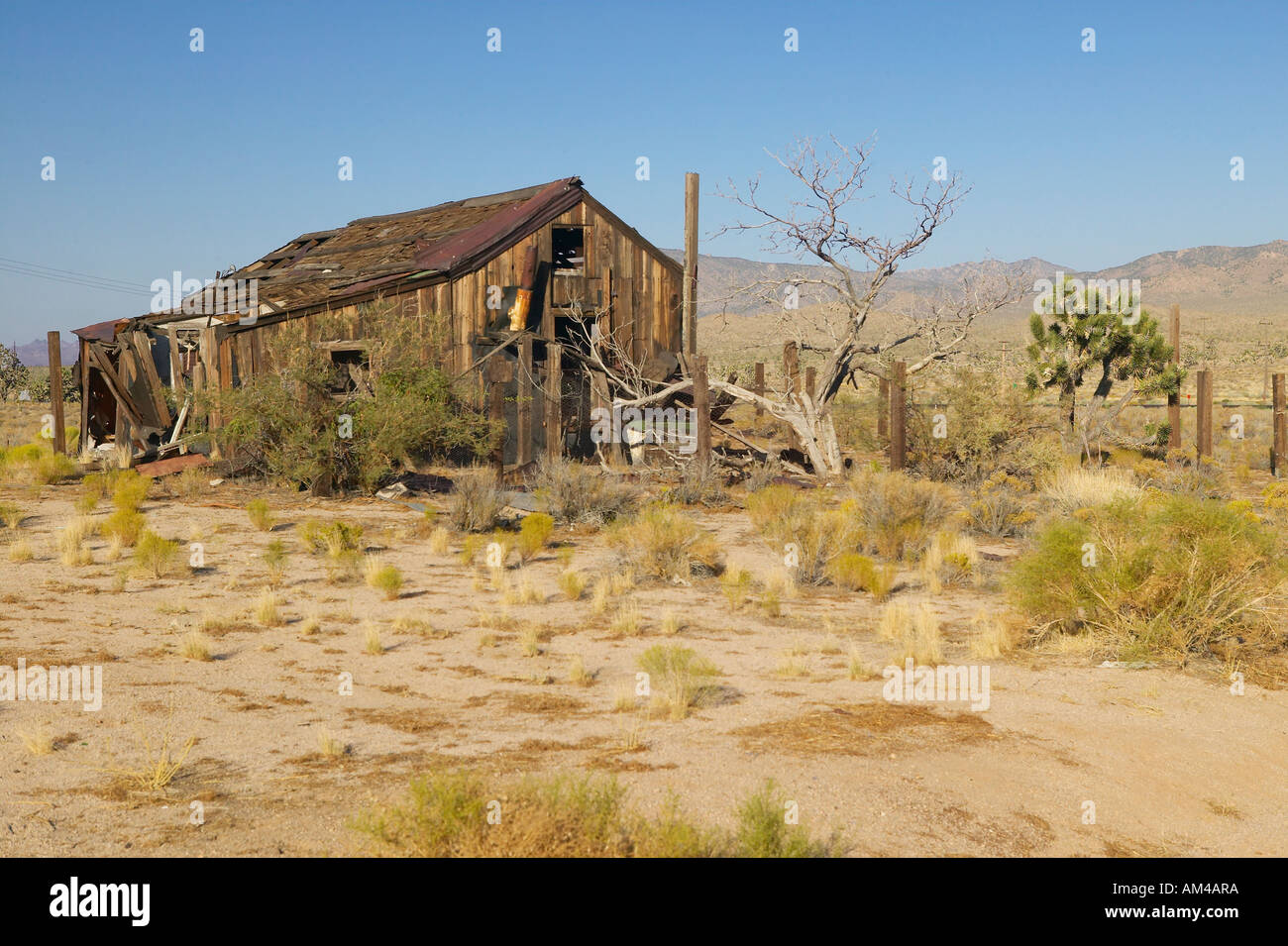 Old mining building along Morning star mining road in Mojave Desert of ...