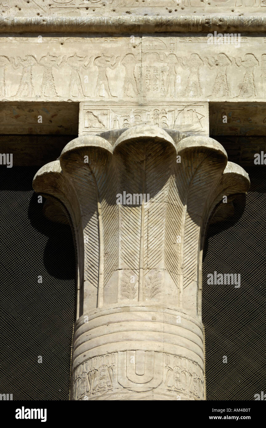 Palm column detail Ptolemic temple of Horus Edfu Egypt North Africa ...