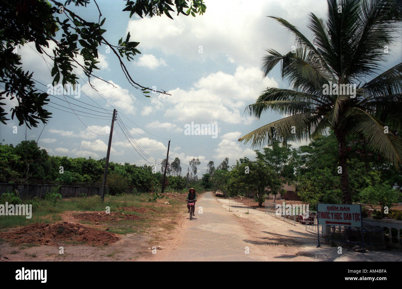 Ming chih hi-res stock photography and images - Alamy