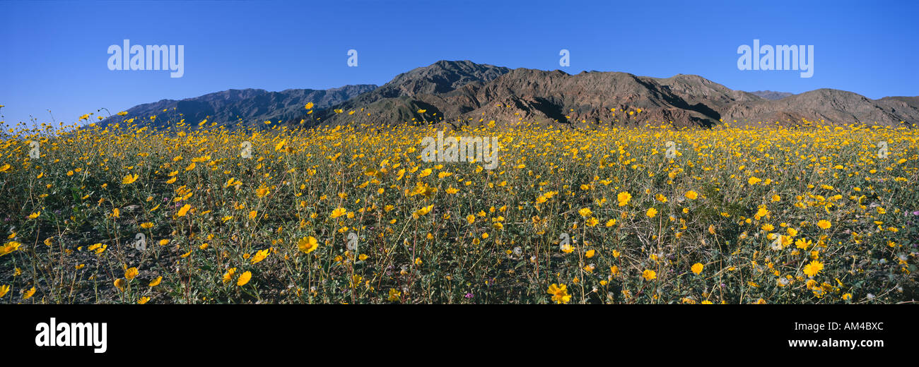 Landforms in death valley hi-res stock photography and images - Alamy