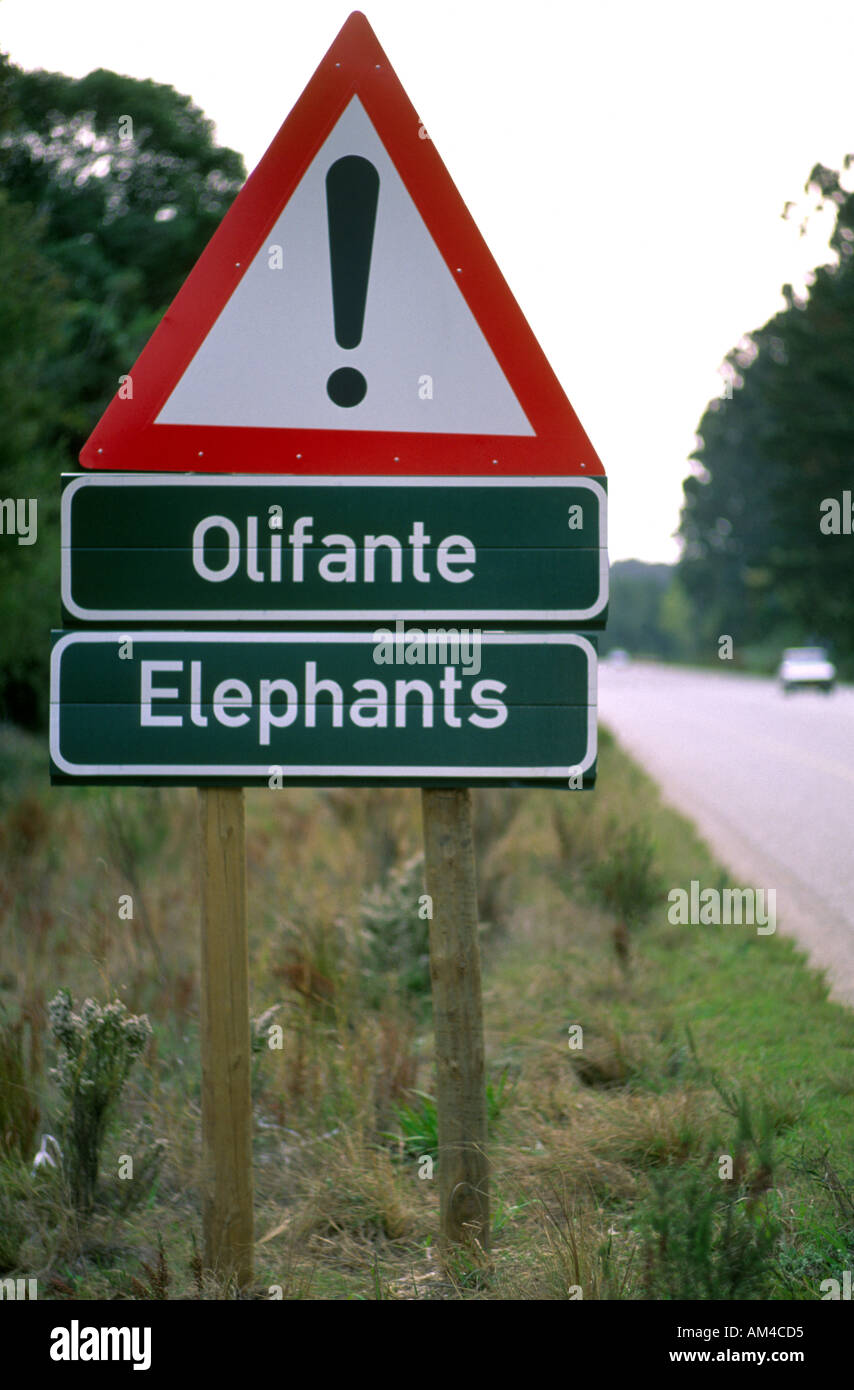 Elephants crossing road sign South Africa Stock Photo - Alamy
