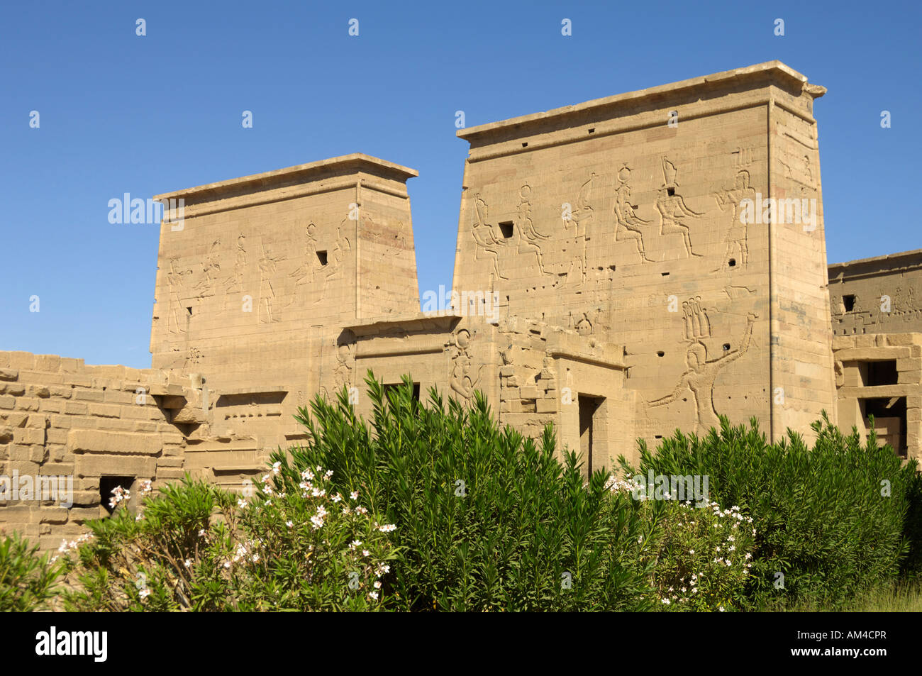 Philae temple Egypt North Africa Stock Photo - Alamy