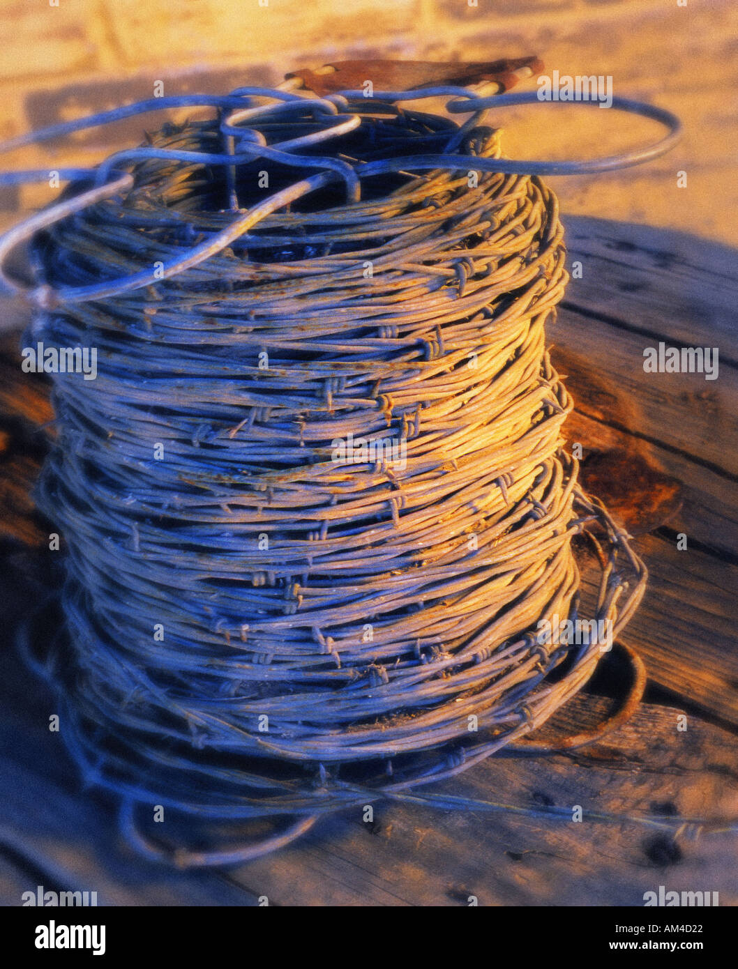 A spool of barbed wire Stock Photo - Alamy