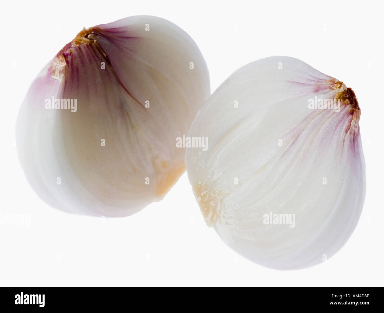 Close-up of cross sections of an onion Stock Photo - Alamy
