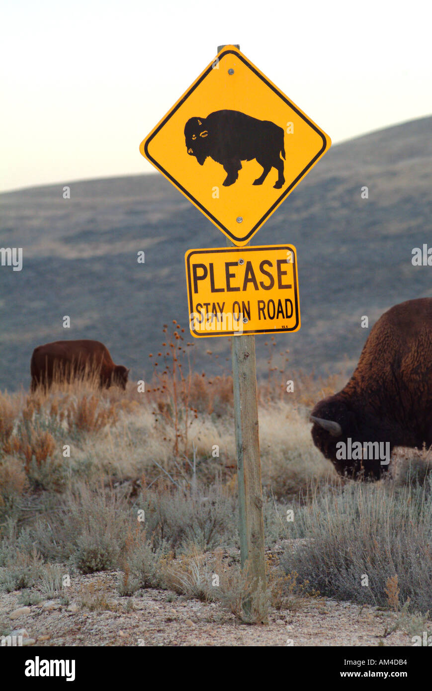 Buffalo warning sign hi-res stock photography and images - Alamy