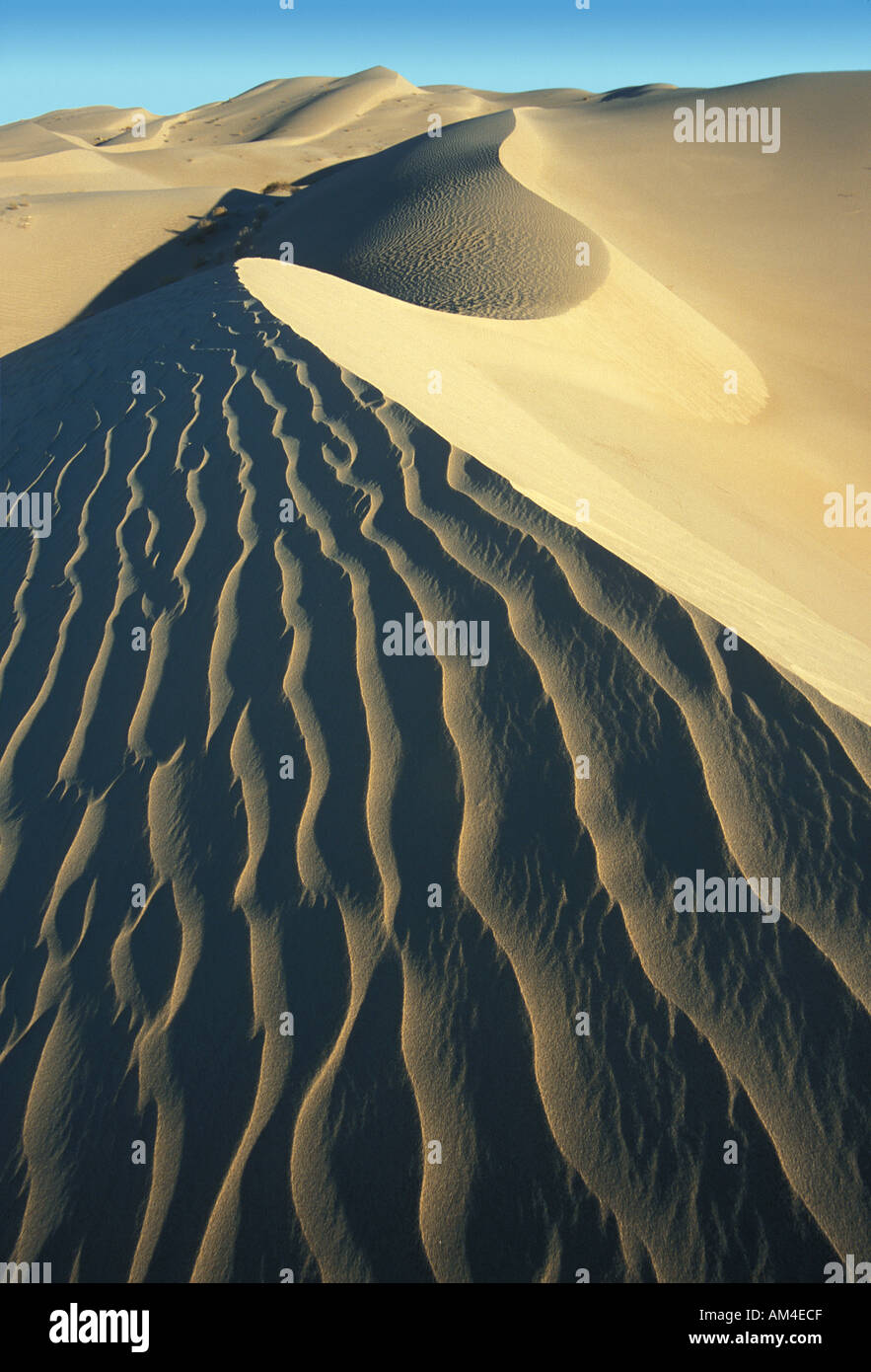 ridge line of a sand dune Stock Photo - Alamy