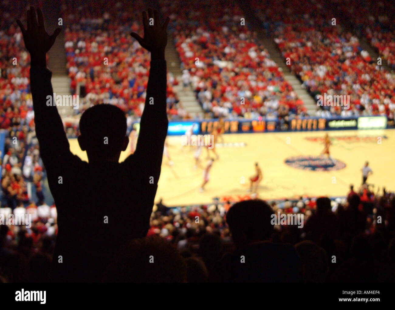 fan celebrates his team scoring Stock Photo - Alamy