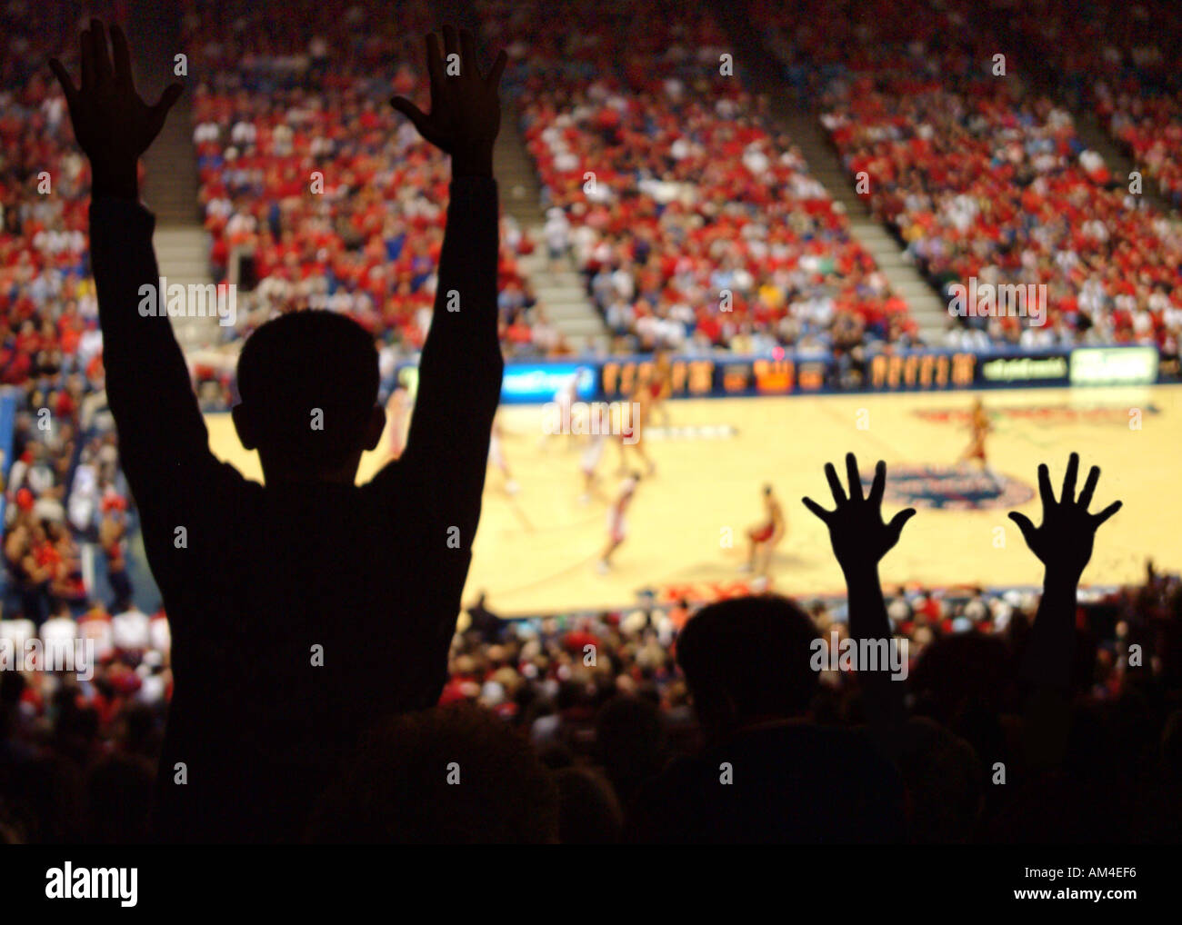 A fan leaps to his feet, raises his arms over his head and celebrates ...