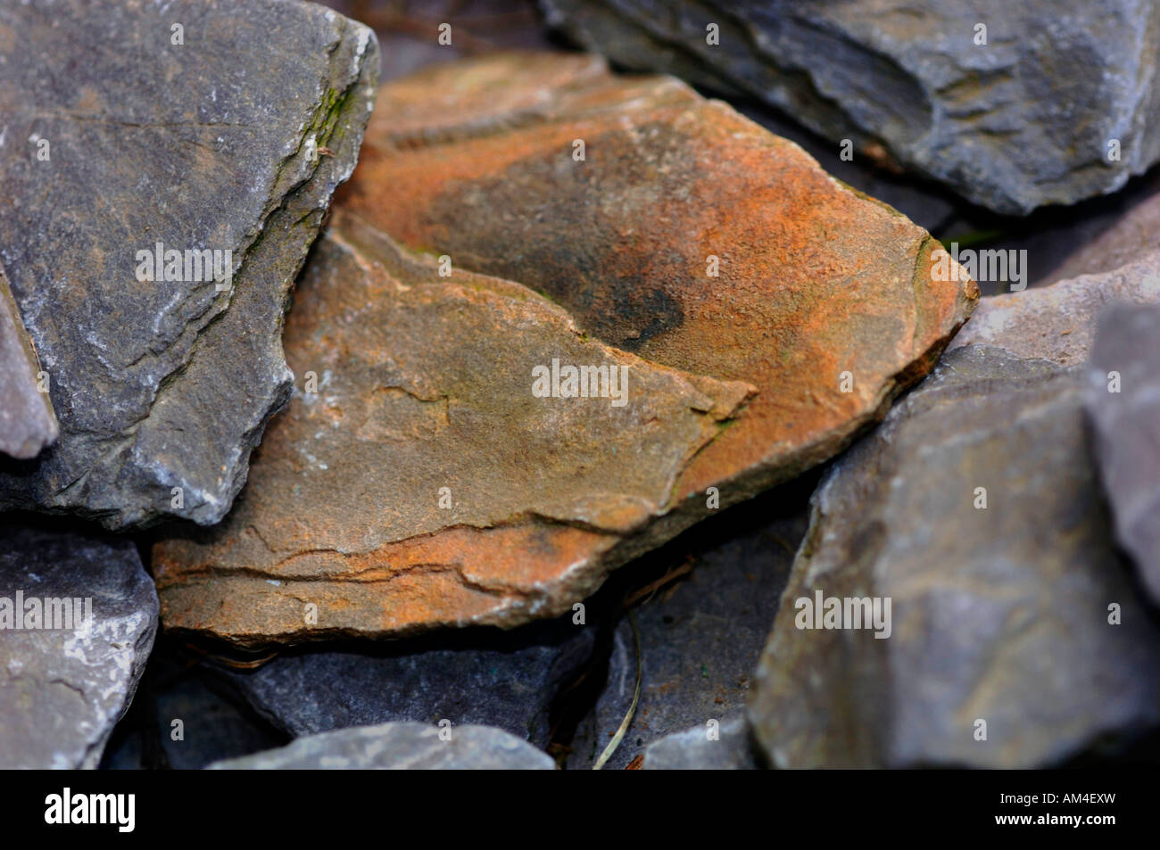 Closeup Of Pieces Of Shale,Used To Make A Garden Path Stock Photo - Alamy