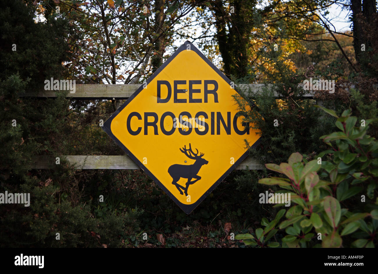 Deering crossing sign Little Island Waterford Castle Estate Ireland ...