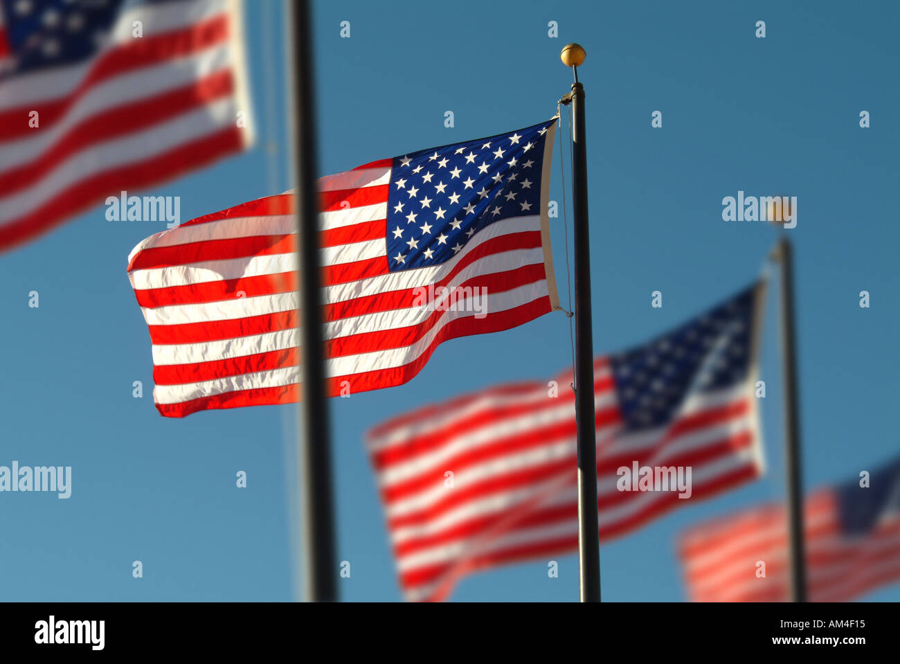 American flags stars stripes hi-res stock photography and images - Alamy
