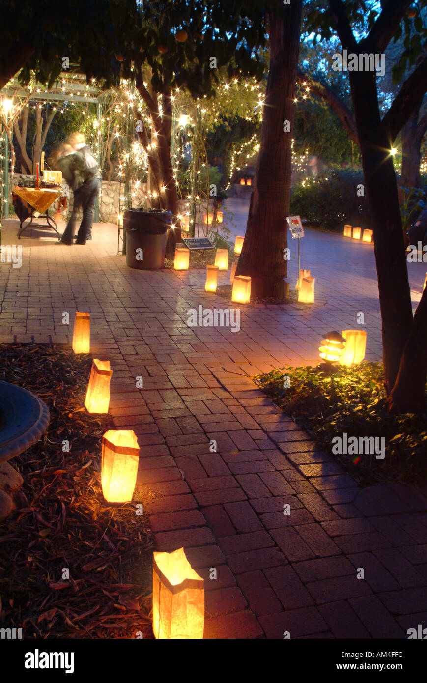 Luminaries along a path at Christmas Stock Photo - Alamy