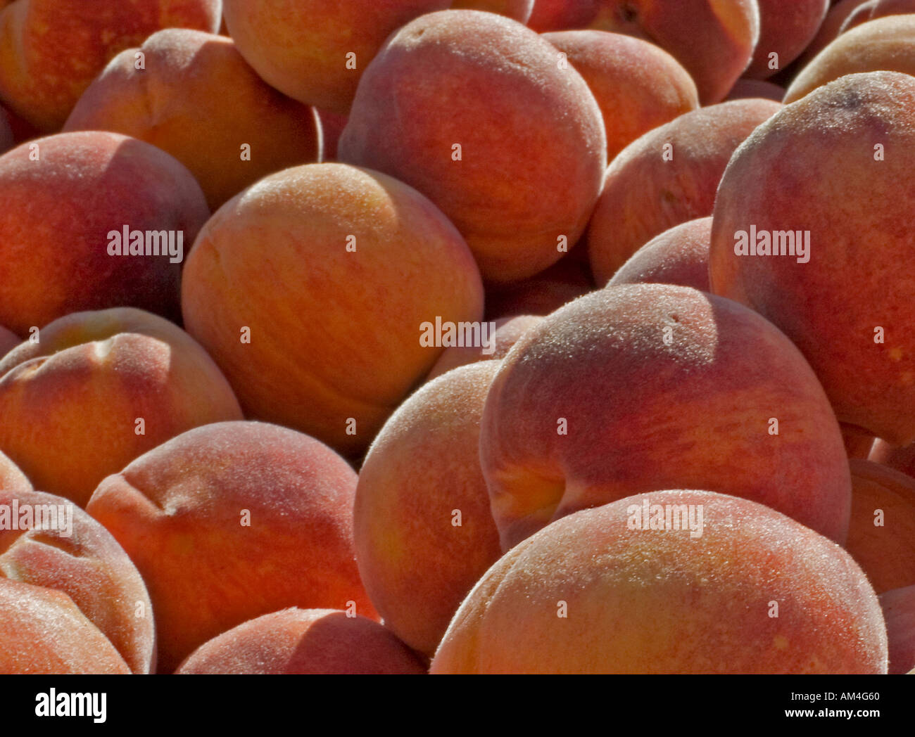 Georgia peaches hi-res stock photography and images - Alamy