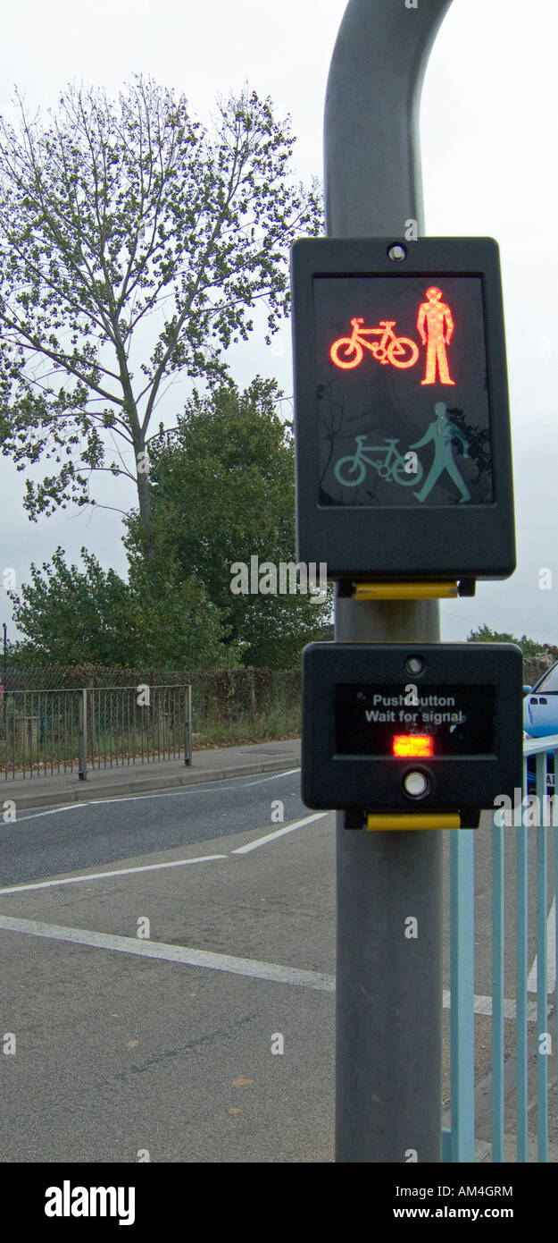 Toucan crossing hi-res stock photography and images - Alamy