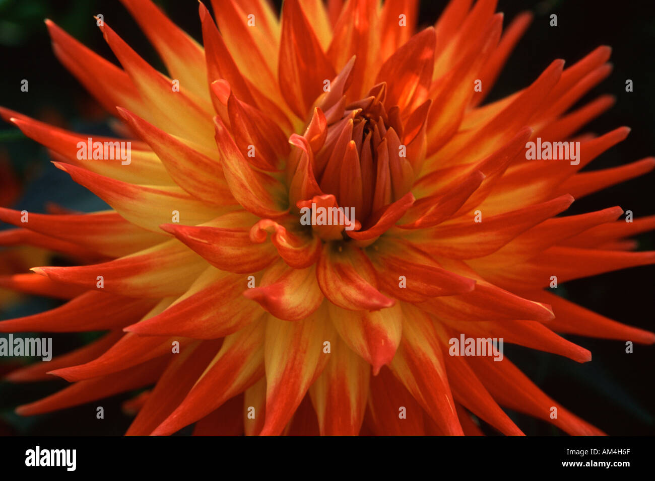 Kenora sunset hi-res stock photography and images - Alamy