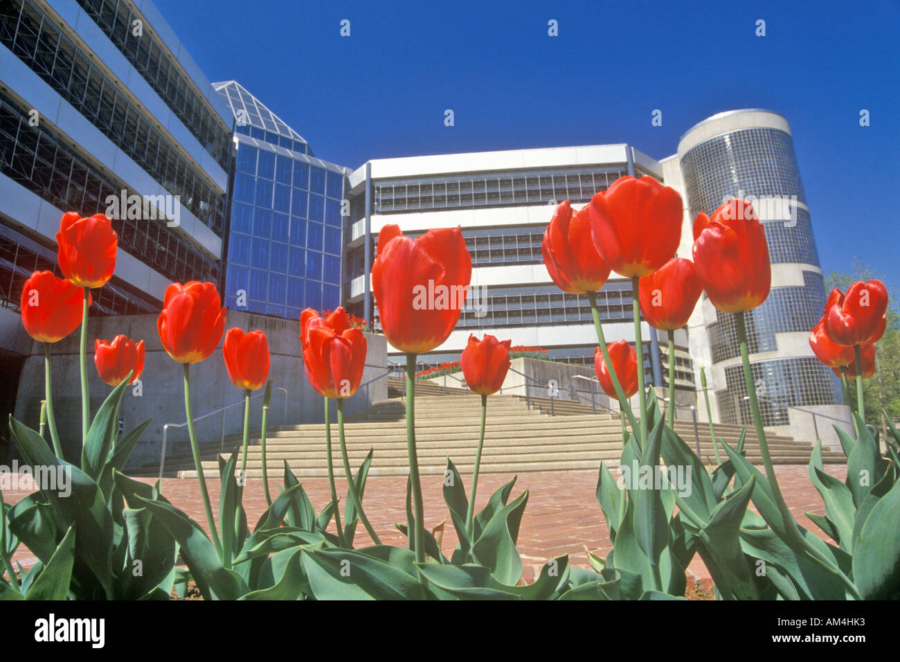 Intel Satellite Building and tulips Washington DC Stock Photo - Alamy