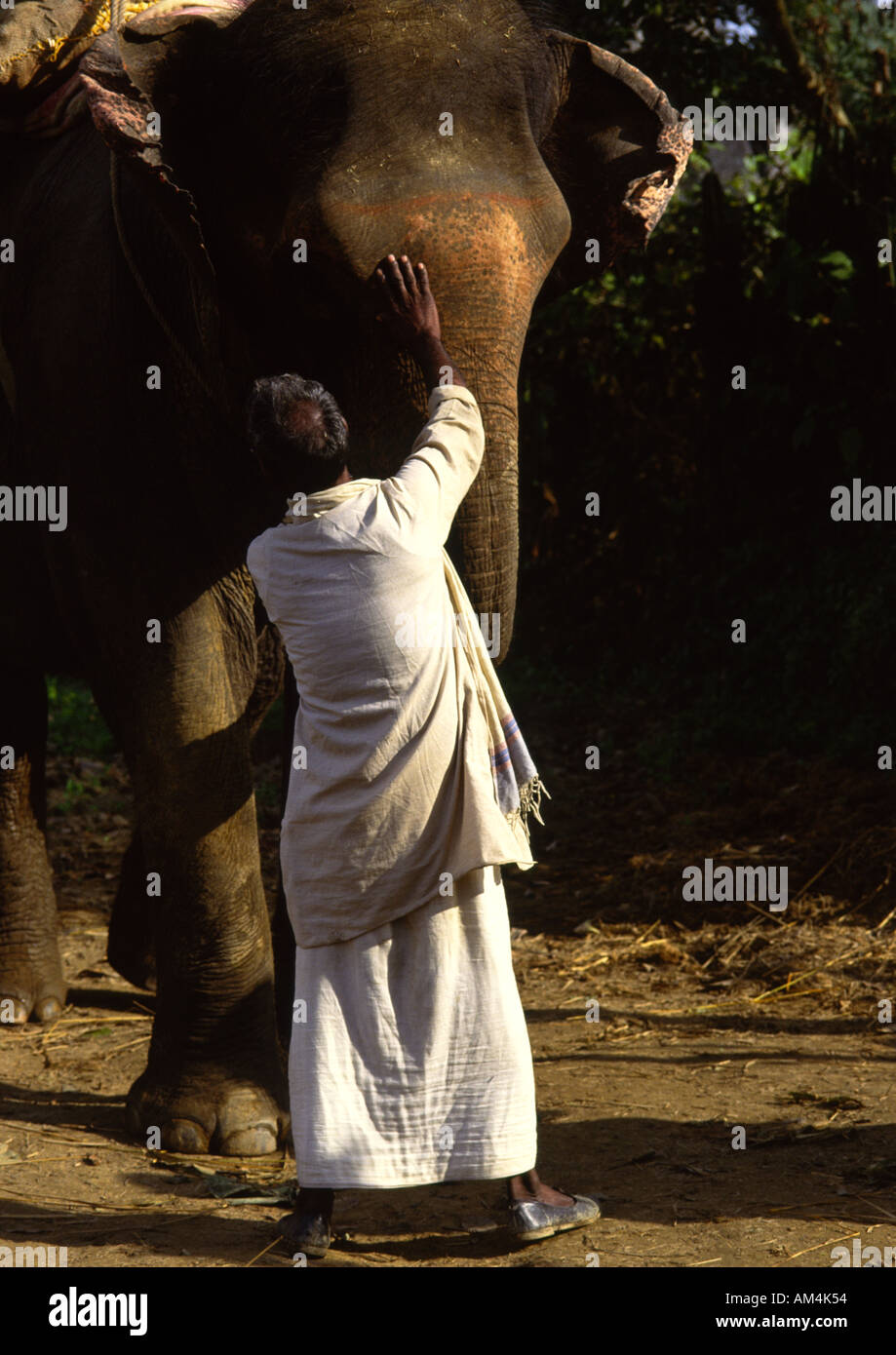 Elephant and handler Chitwan National Park Nepal Stock Photo - Alamy