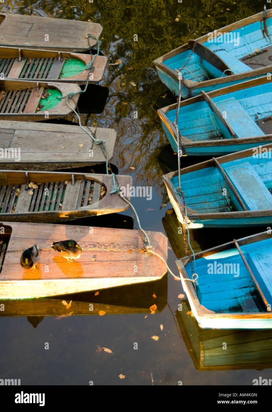 The stern of rowing boats and punts of the River Cherwell at Magdalen ...