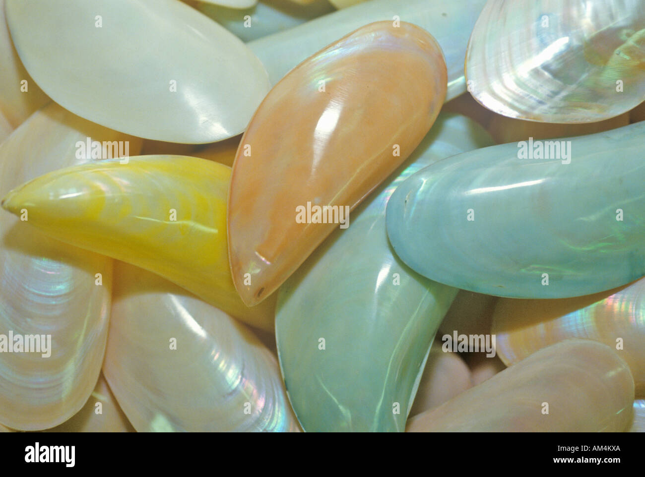 Shell factory hi-res stock photography and images - Alamy