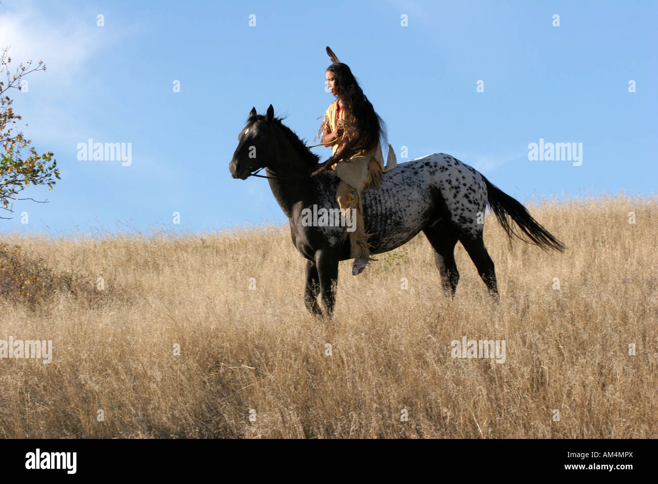 A Native American Indian man on horseback scouting for enemies or ...