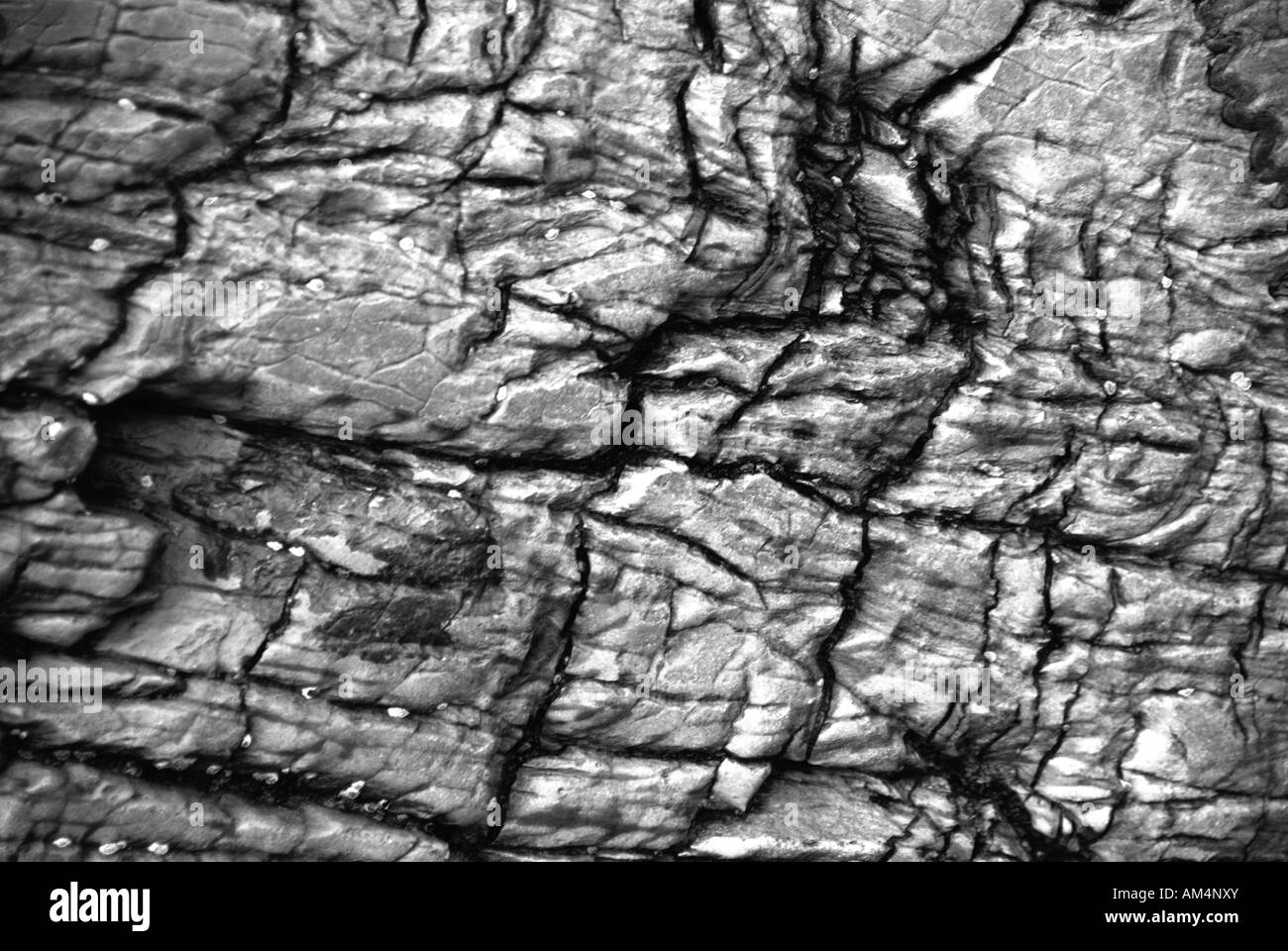 Seaside strata Black and White Stock Photos & Images - Alamy