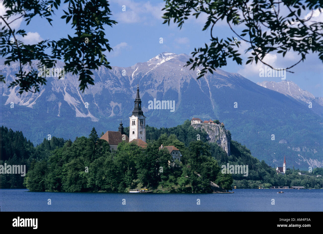 View of Bled - through trees Stock Photo - Alamy