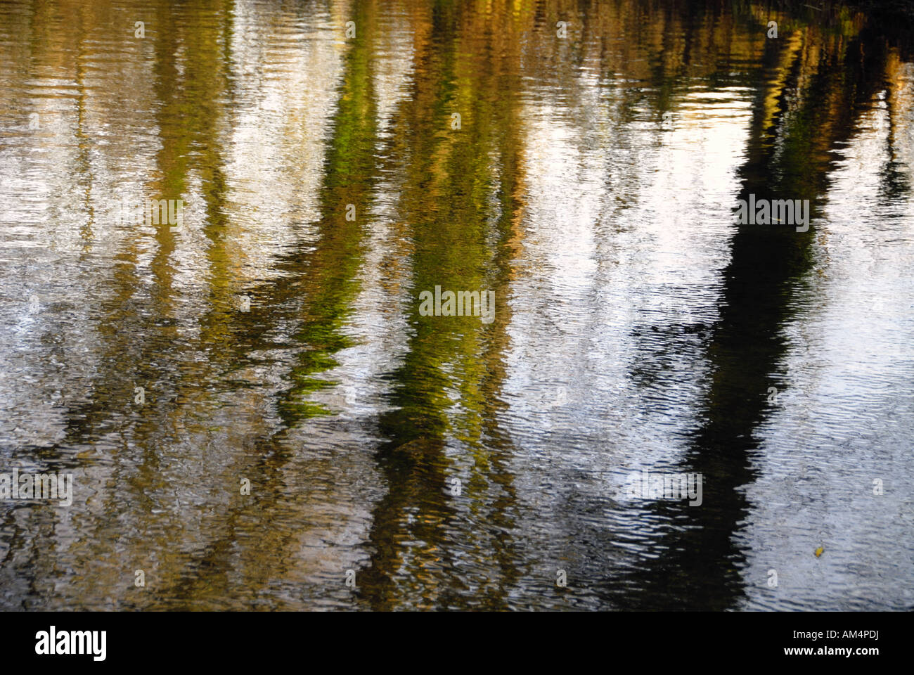 Winter trees reflected in river water Stock Photo - Alamy